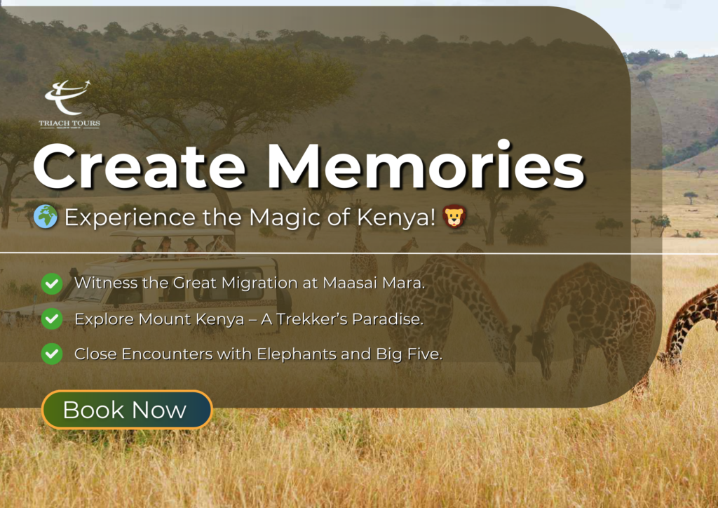 Kenya Tour Packages – Unforgettable Safaris Starting at ₹1.5 Lac